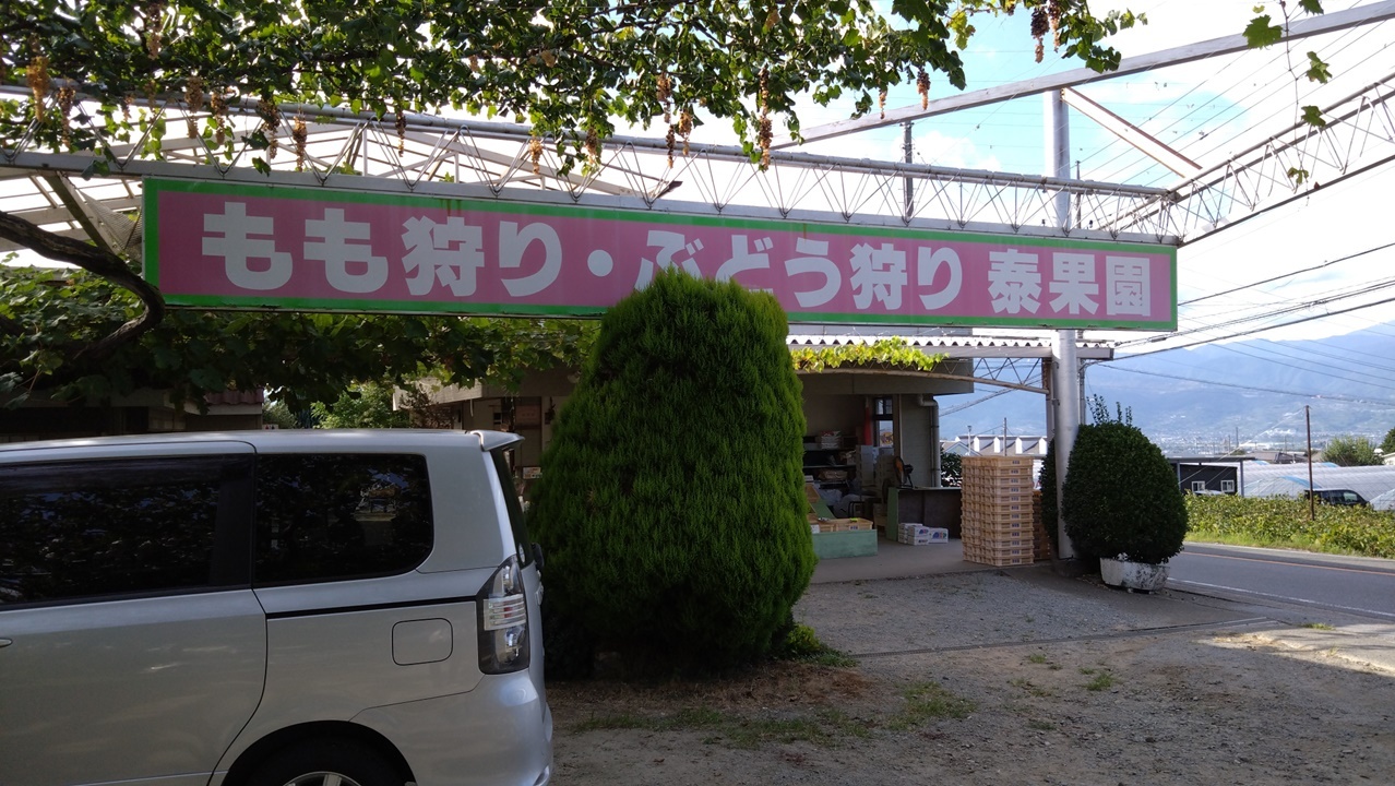 笛吹市のぶどう: JI2SVL